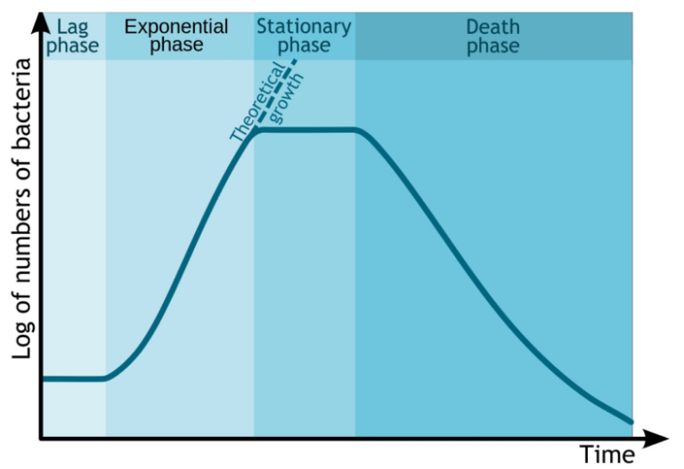 Best pH for the growth of Bacteria | Ask Microbiology