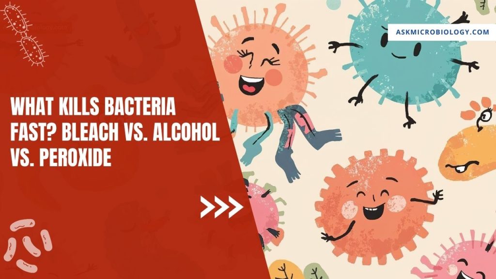 What Kills Bacteria Fast? Bleach vs. Alcohol vs. Peroxide (Plus Fabrics ...